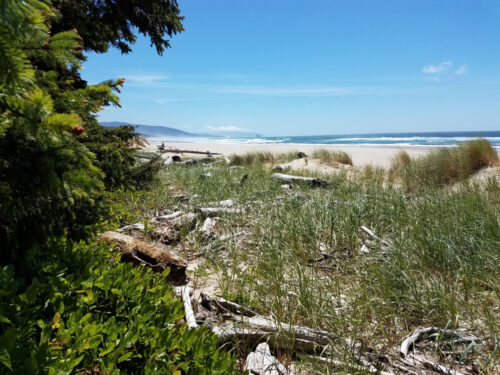 Camp Meriwether | Cascade Pacific Council, Scouting America